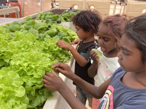 Food Ladder: Giving people the tools to stop hunger - Third Link