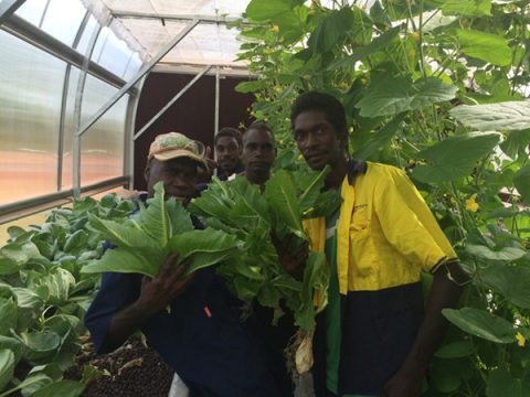 Food Ladder: Giving people the tools to stop hunger - Third Link